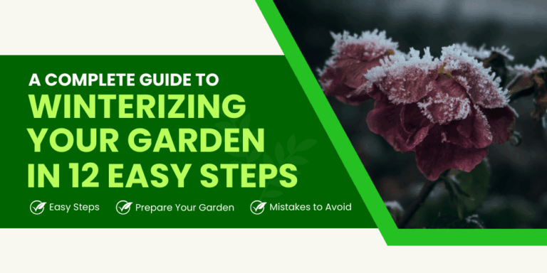 How to Winterize Your Garden in 12 Easy Steps | Garden Tips